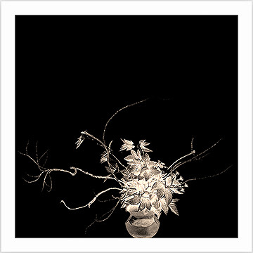 ANNE VALVERDE PHOTOGRAPHER